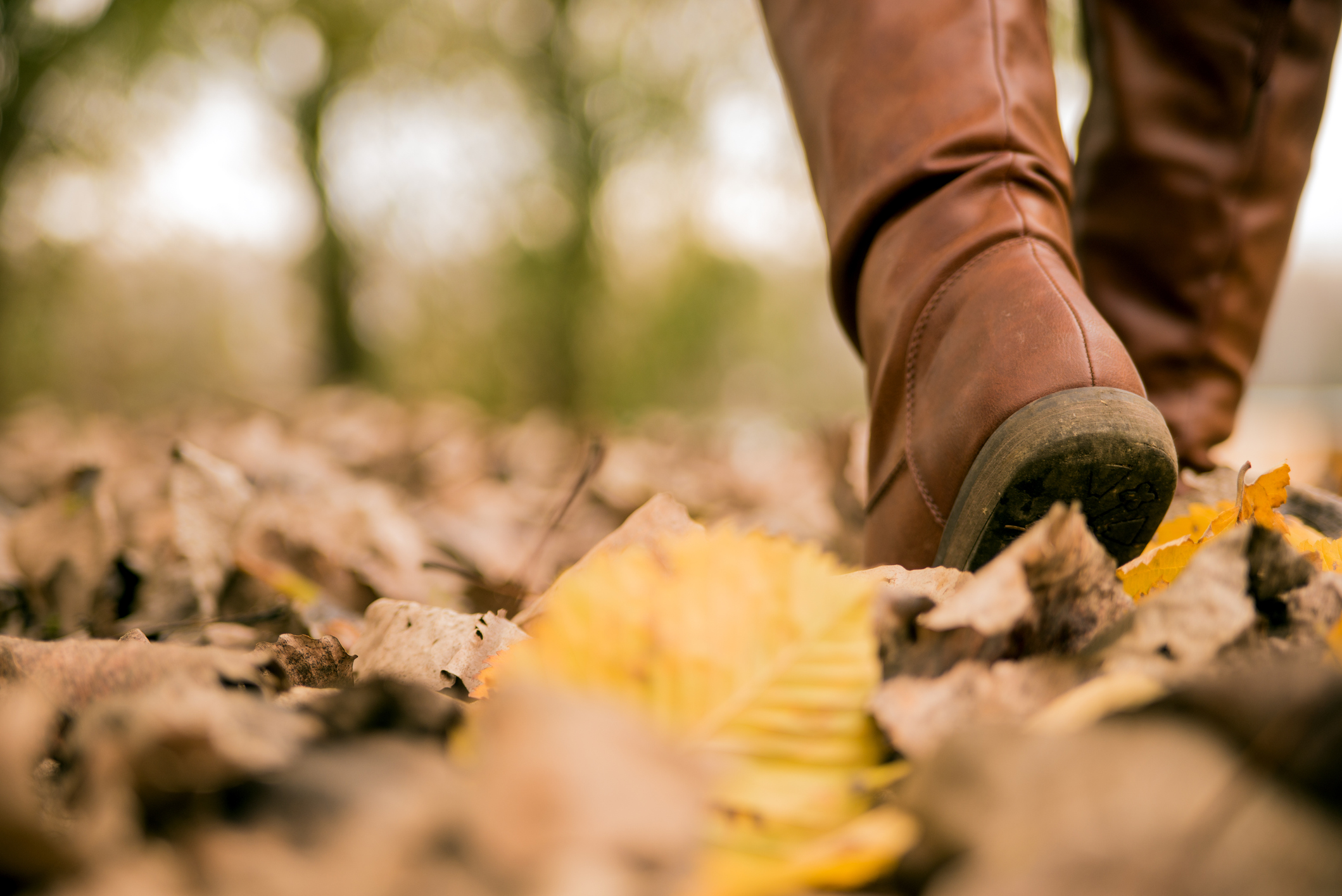 First Steps of Recovery - Journey Road